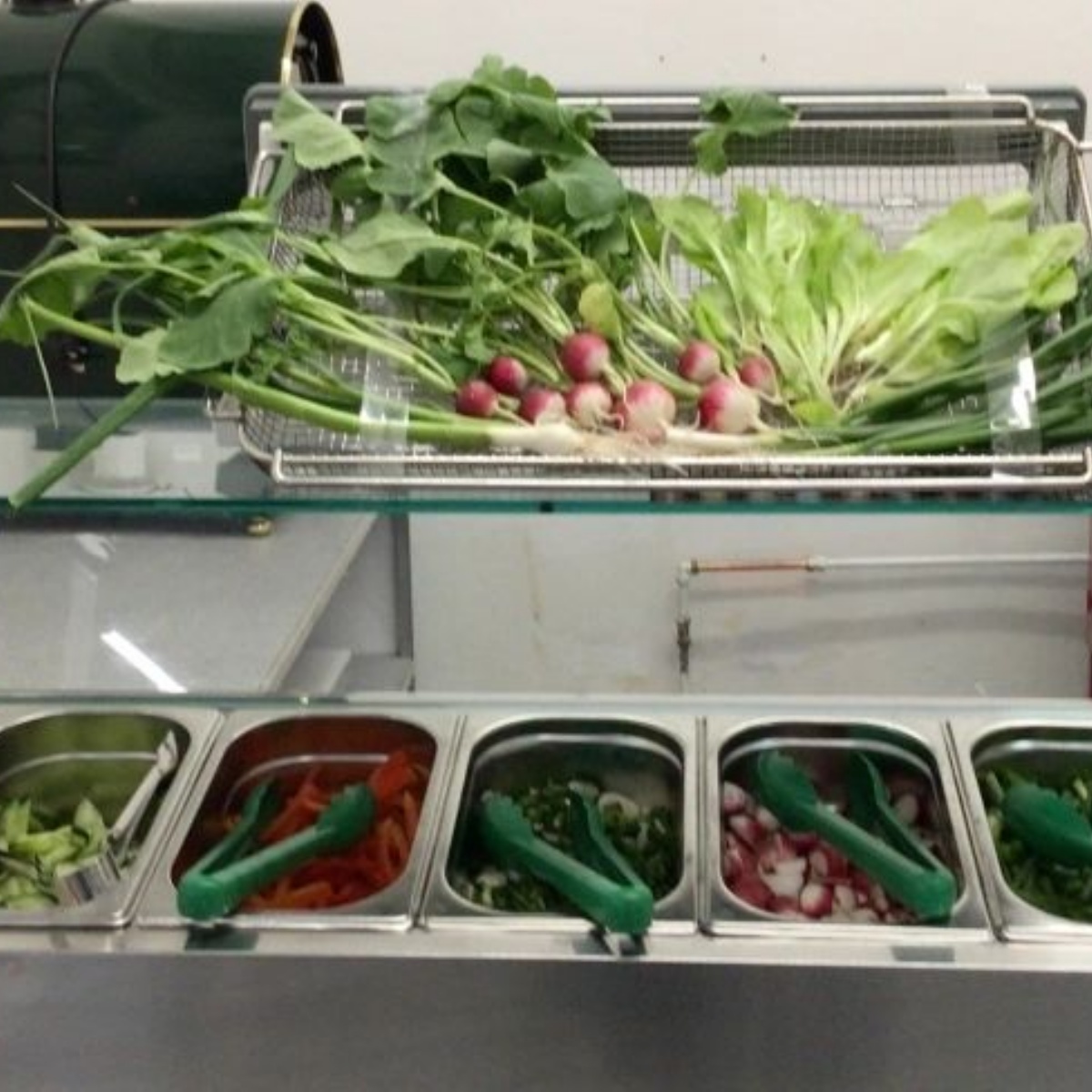 Greenshaw High School - Kitchen garden launched